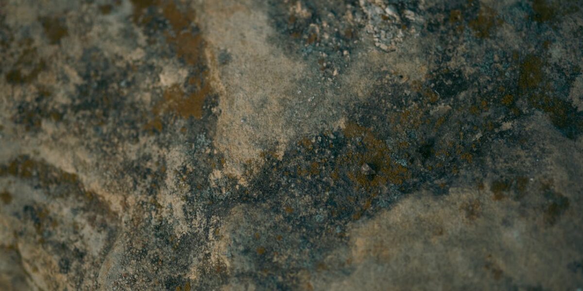 Annika Backes: Model, Influencer en Echtgenote van Tiësto - fraaiwonen.nl